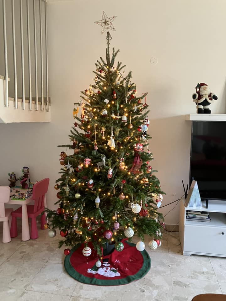 Christmas Trees UAE